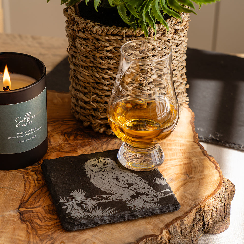 Tawny Owl Single Slate Coaster | Selbrae House